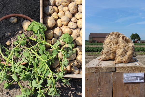 opperpieper de opperdoezer ronde | delicious.magazine