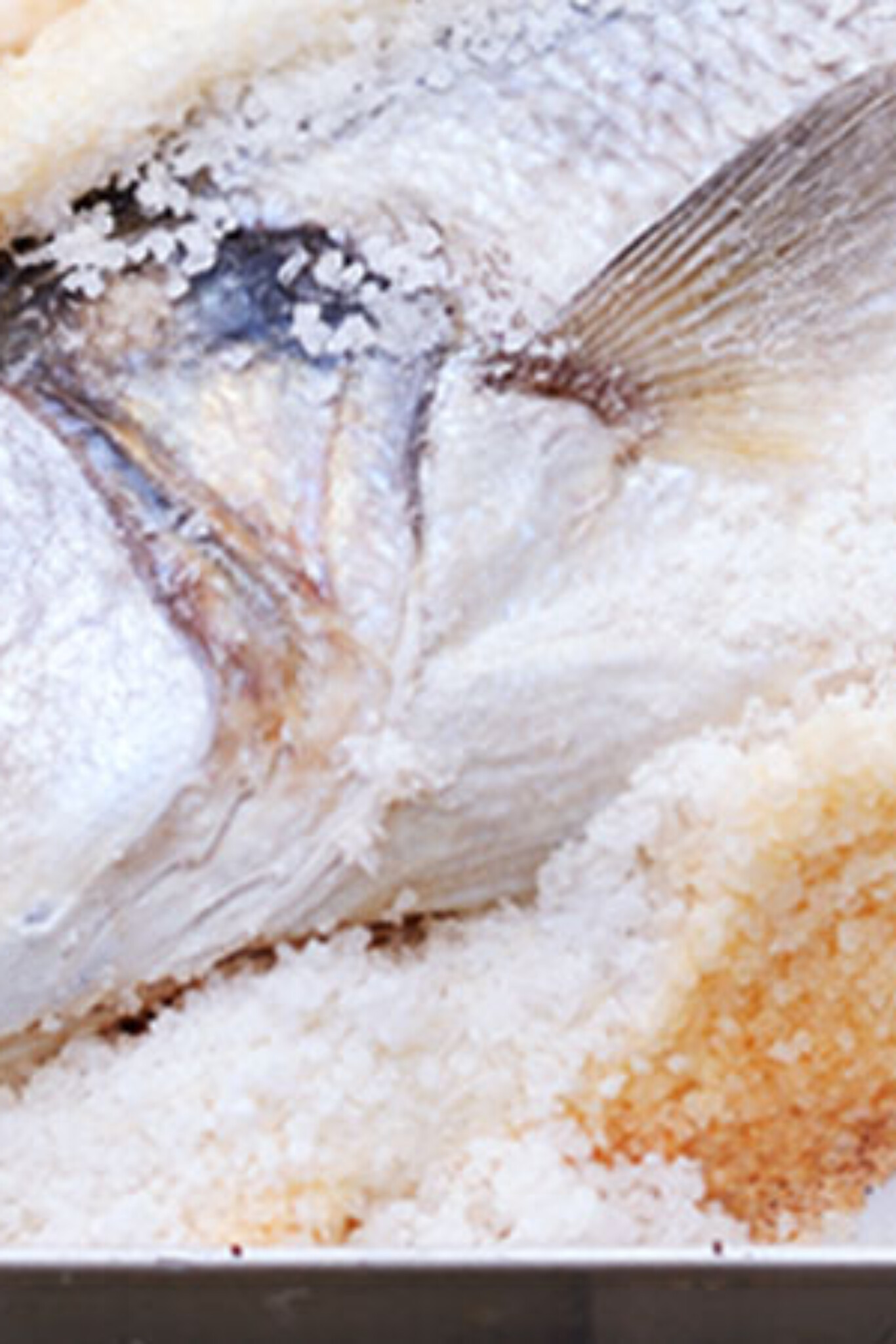 zeebaars in zoutkorst | delicious.magazine