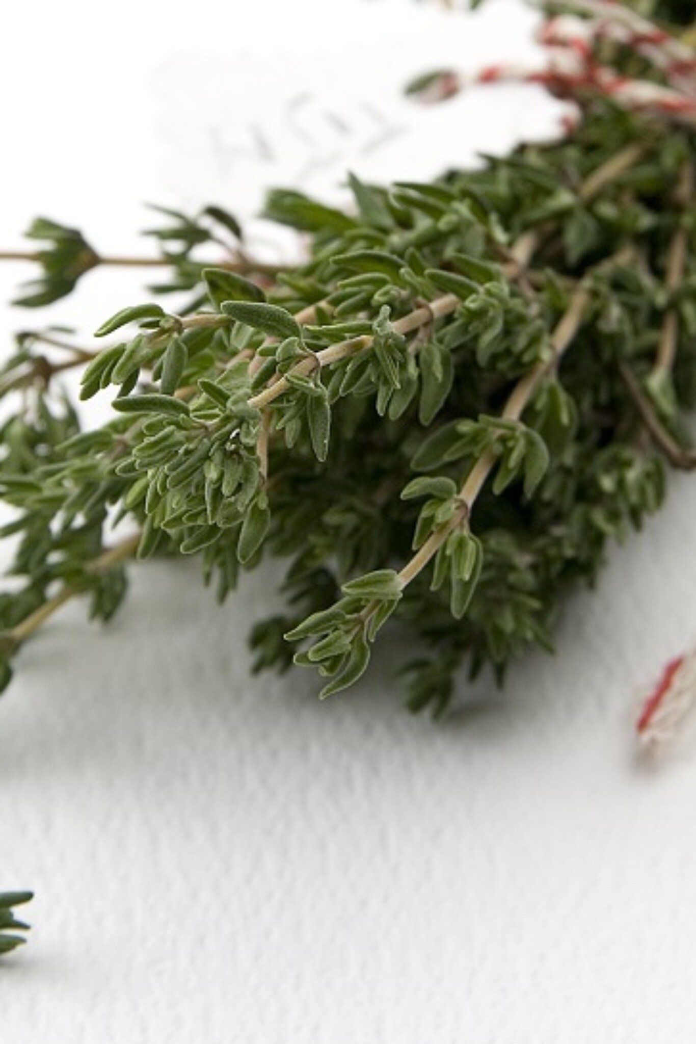 het fijne van tijm | delicious.magazine