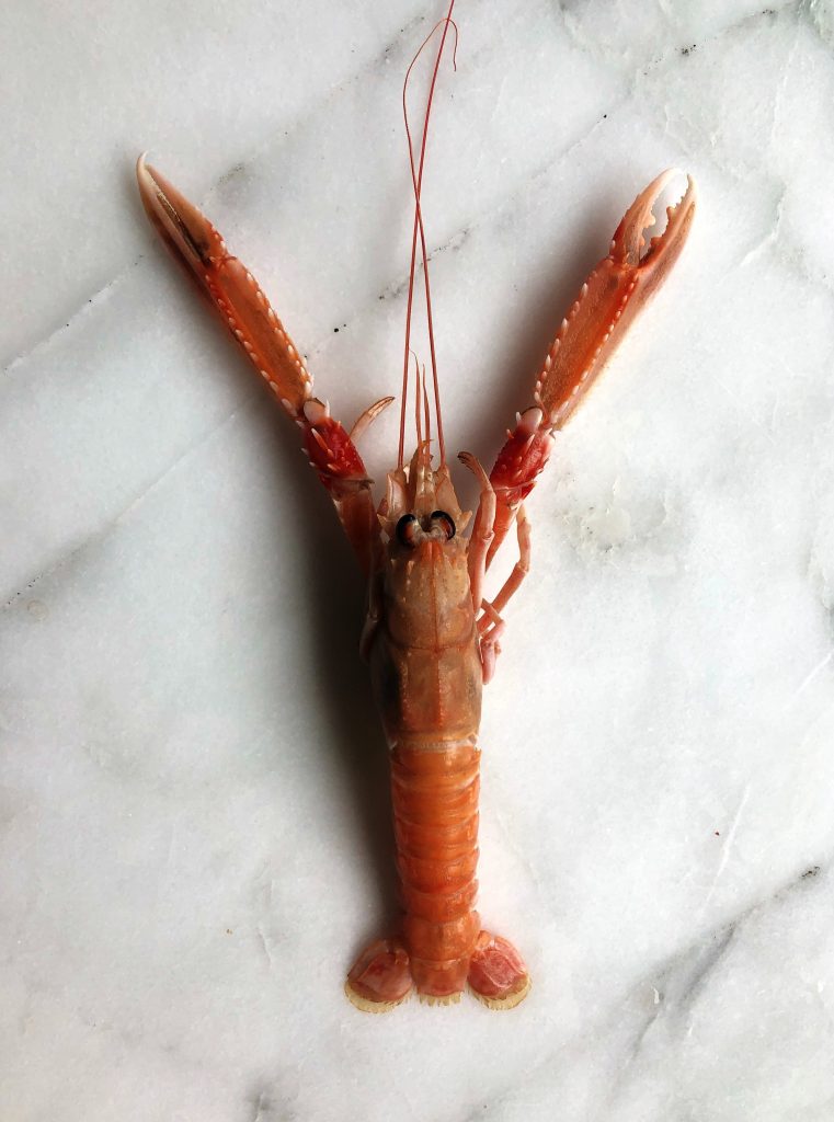 Stap voor stap: zo bereid je zelf langoustine | delicious.magazine