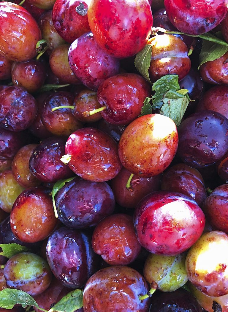 Vic’s kitchen stories: azijn maken | delicious.magazine