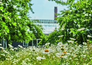 dit is Jamie Olivers favoriete restaurant in Nederland | delicious.magazine