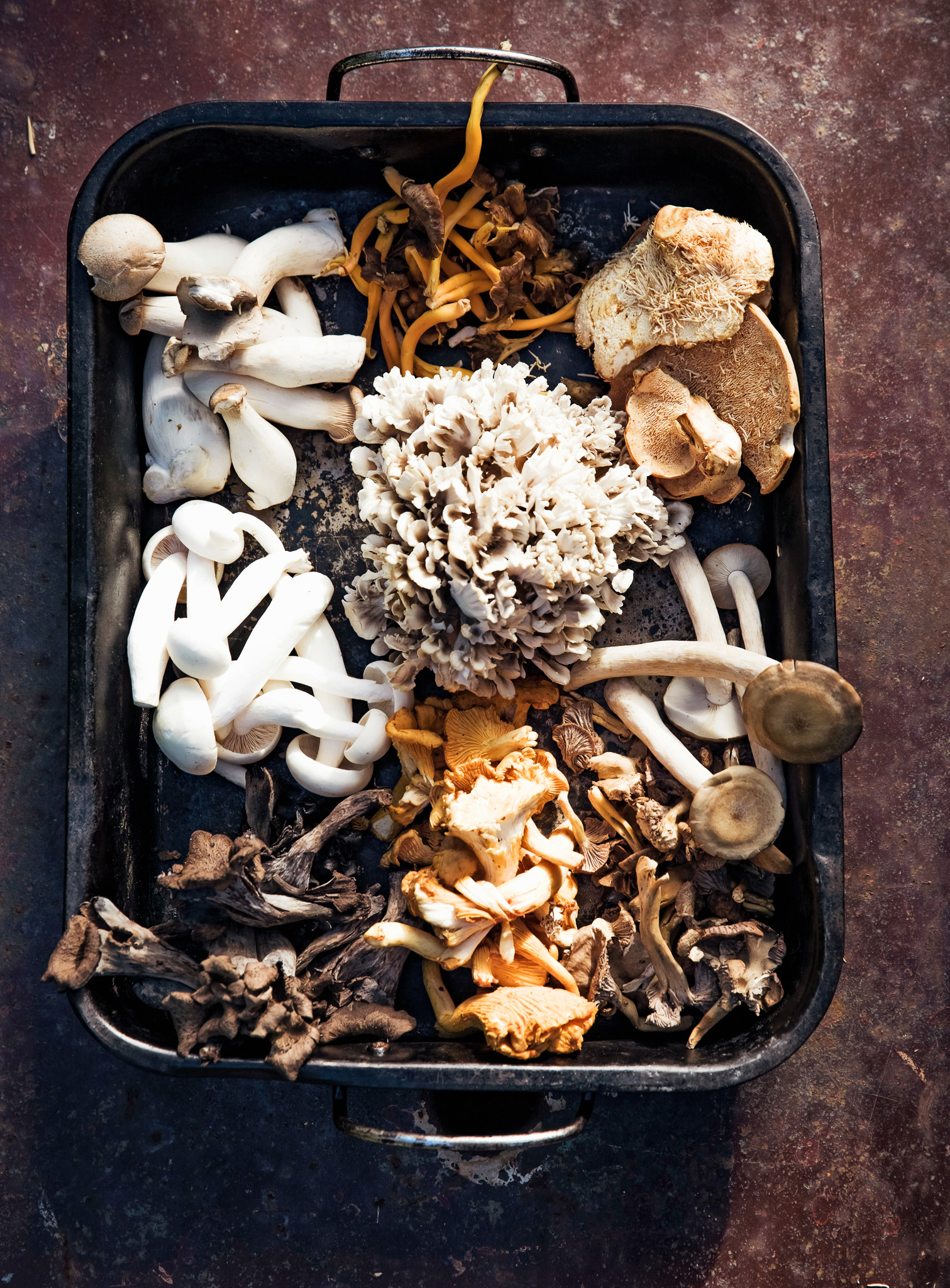 Dit zijn de meest voorkomende eetbare soorten paddenstoelen