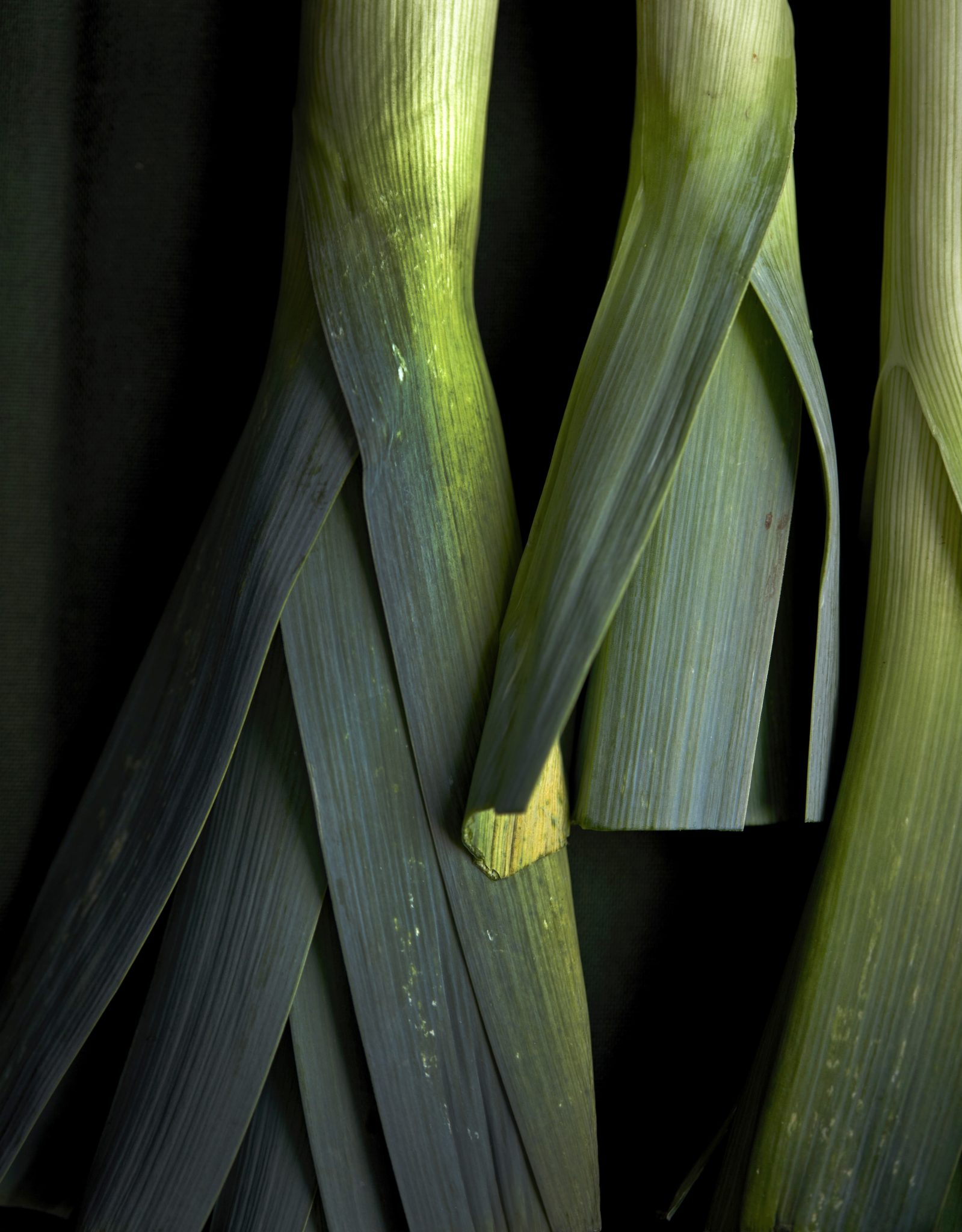 prei: de buitenste laag hoeft niet altijd weg, en meer tips + recepten