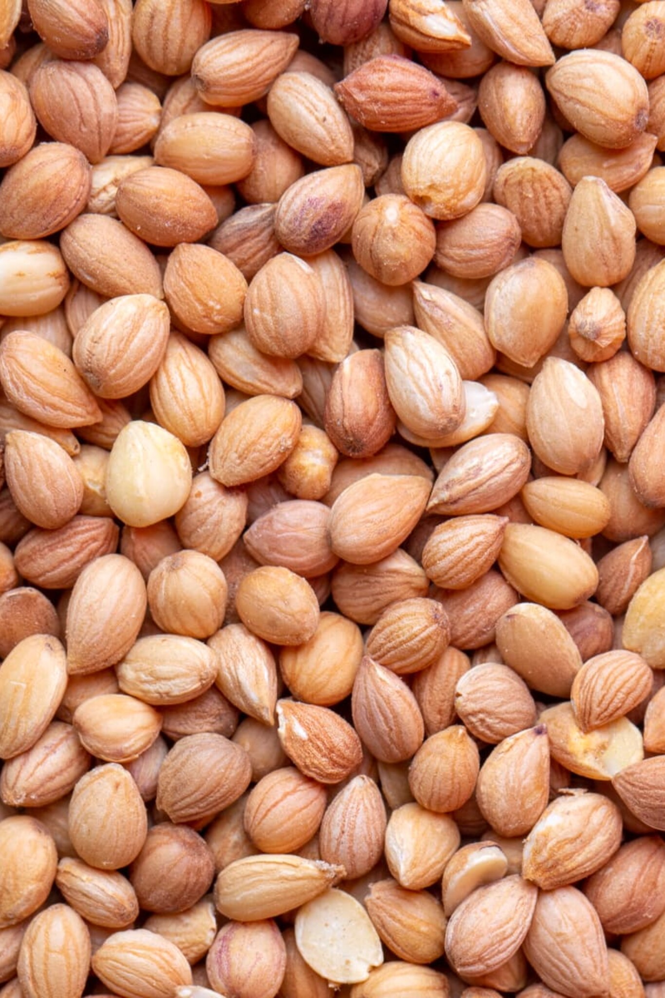 mahleb: dé specerij van 2025? | delicious.magazine