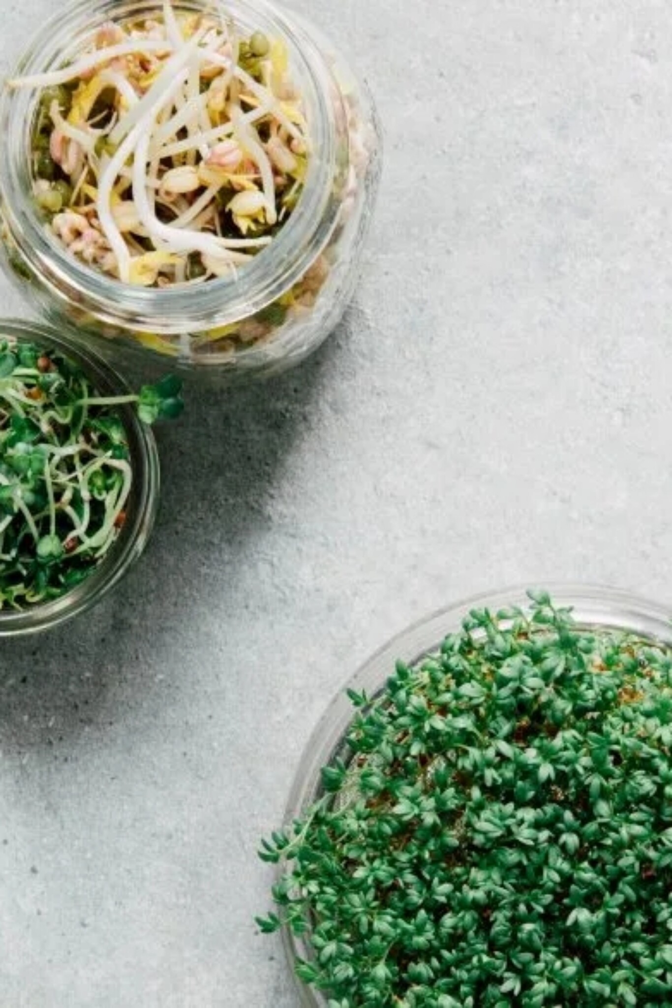 Kiemgroenten! Zo laat je in 7 dagen je eigen supergroenten groeien